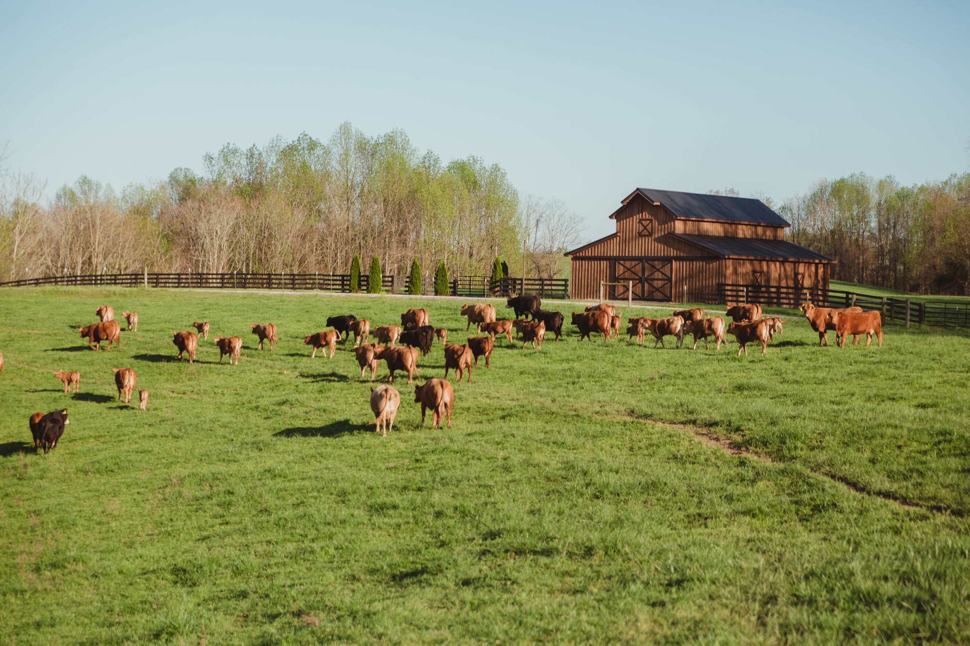 KHK Farms – KHK Farms, LLC
